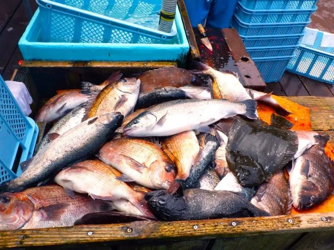 【福井の釣りスポット10選】大物狙いの海上釣り堀から、家族で行きたい渓流釣りまで | 隠れ家ヴィラ、別荘をシェアする会員制リゾート「GFC」