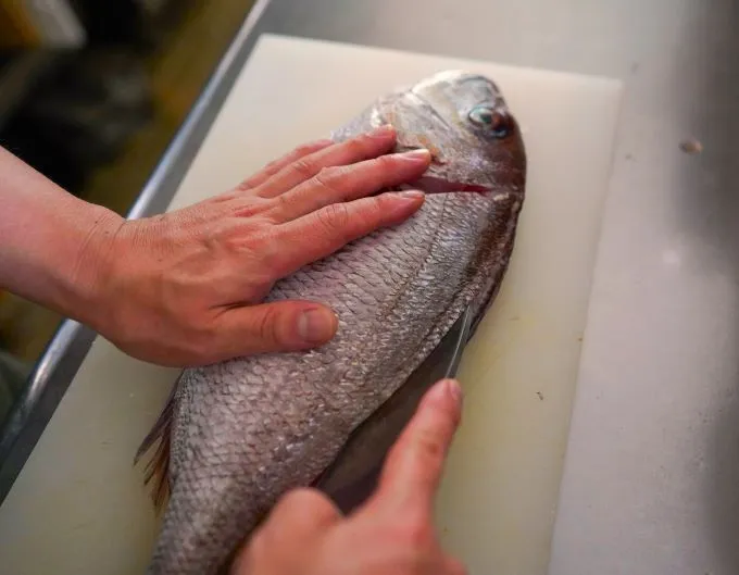 【福井の釣りスポット10選】大物狙いの海上釣り堀から、家族で行きたい渓流釣りまで | 隠れ家ヴィラ、別荘をシェアする会員制リゾート「GFC」