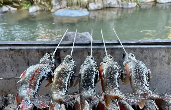 【福井の釣りスポット10選】大物狙いの海上釣り堀から、家族で行きたい渓流釣りまで | 隠れ家ヴィラ、別荘をシェアする会員制リゾート「GFC」